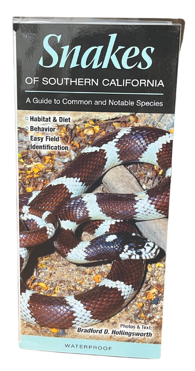 Fold Out Guide - Snakes of Southern California – California Nature Art ...