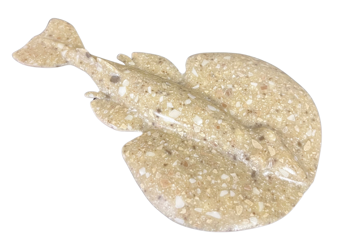 RS - Coriane Electric Torpedo Ray – California Nature Art Museum Store